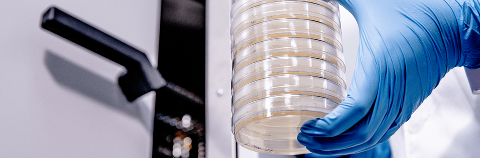 Air Monitoring through Passive Sampling - Viroxy