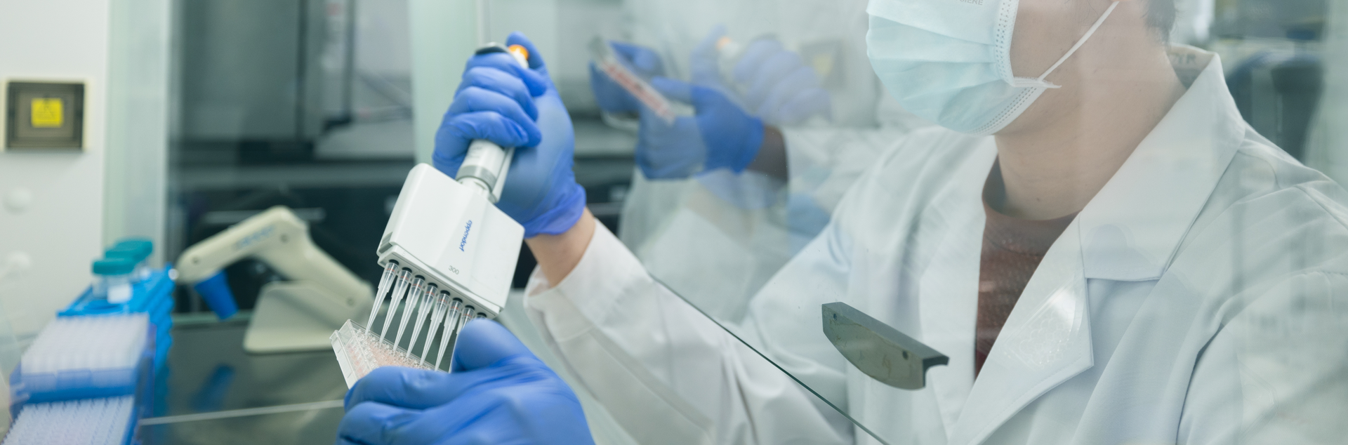 EN 14476:2013+A2:2019 - Viroxy