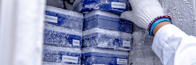 Virucidal Tests - Viroxy