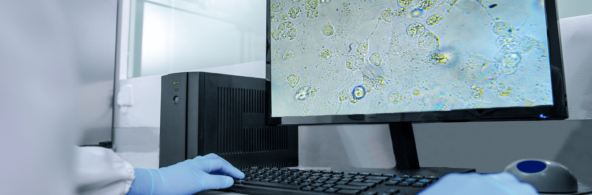 EN 14675:2015 - Viroxy